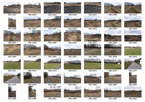 Artstation Park Grass And Fields Photo Reference 500 Images