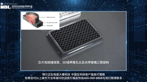 类器官芯片建立3d人原代肝细胞模型用于预测药物性肝损伤 知乎