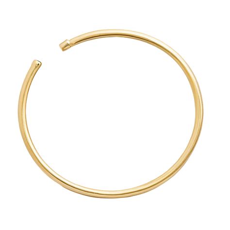 Download Hoop Nose Ring Png 47