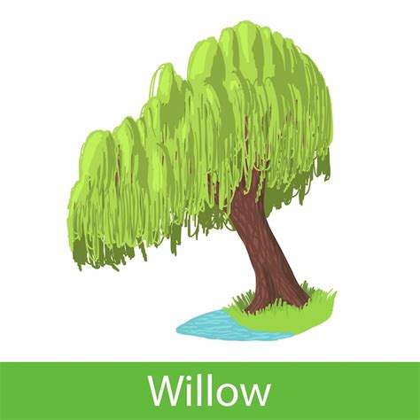 Premium Vector Willow Cartoon Tree Single Illustration On A White
