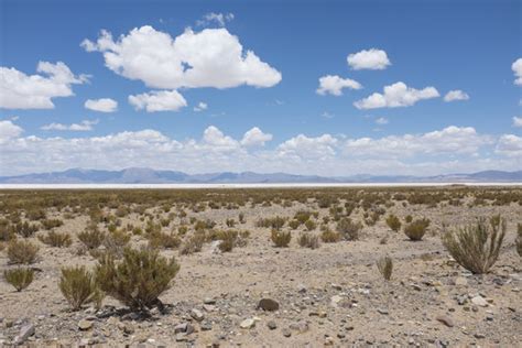 รูปภาพsteppa เลือกดูภาพถ่ายสต็อก เวกเตอร์ และวิดีโอ484 Adobe Stock