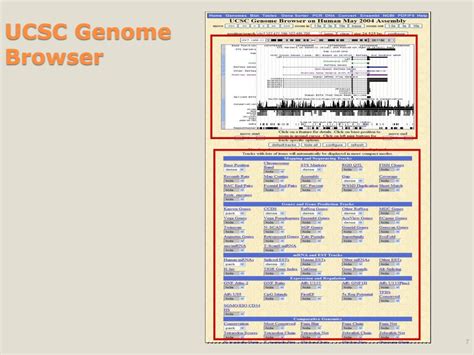 Ppt Ucsc Genome Browser Powerpoint Presentation Free Download Id
