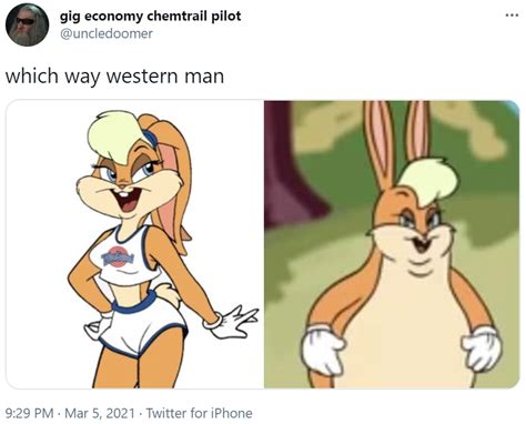 Lola Bunny Meme
