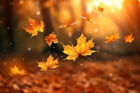 Premium Photo Red And Orange Maple Leaf In Autumn Time On Blurred