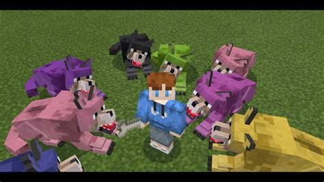 New Colourful Mutant Wolf 🐺 Mod Minecraft Pe Youtube