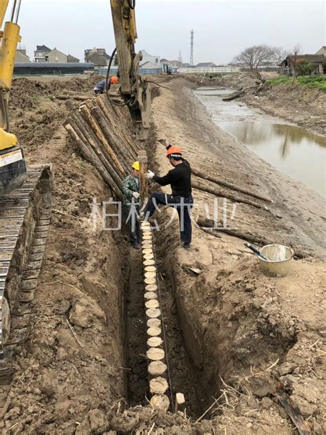 原木打桩木 工地河堤松木桩 护坡整治松木桩 河道打桩木加工 阿里巴巴