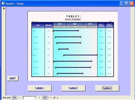Automation Interface Microsoft Access Vba Examples Project