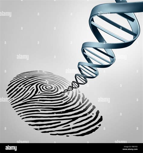 Genetic Fingerprinting As A Fingerprint With Dna Emerging Out As A