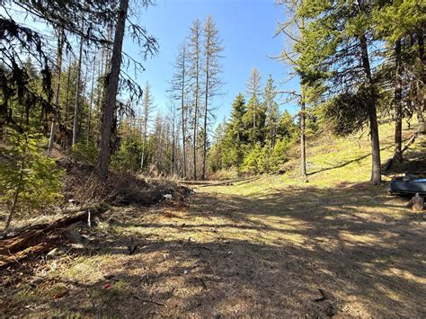 Tbd Giveout Creek Rd Wauconda Wa 98859 Mls 44554