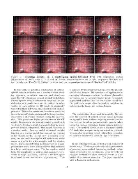 Patient Specific Domain Adaptation For Fast Optical Flow Based On
