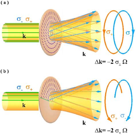 Figure 1 From Photonic Spin Hall Effect In Dielectric Metasurfaces With