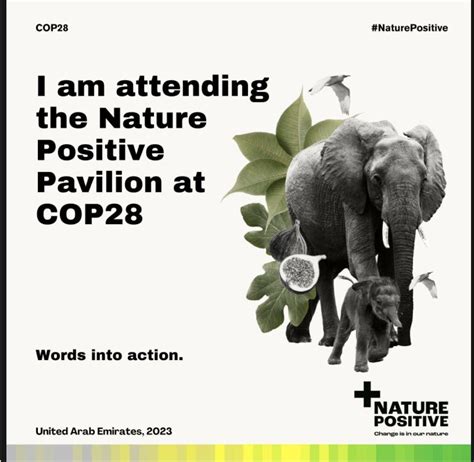 Duapa Naturetech Youthaction Cleancooking Tom Bewick