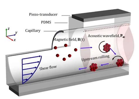 tiny bio inspired swarm robots for targeted medical interventions