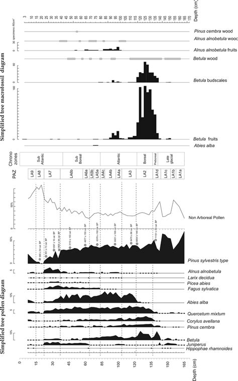 Simplified Tree Pollen And Macrofossil Diagrams All Pollen Percentages