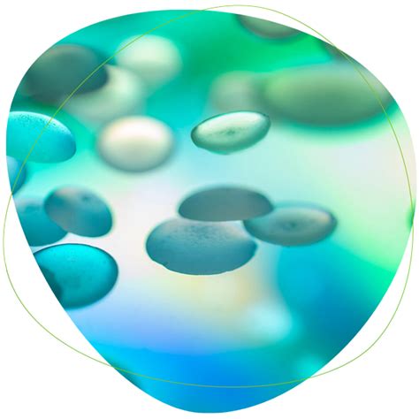 Pfas Free Additive Solutions Byk