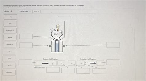 Solved This Diagram Illustrates A Simple Hydrogen Fuel Cell