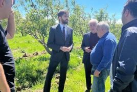 Государство увеличит поддержку пострадавшим от града фермерам