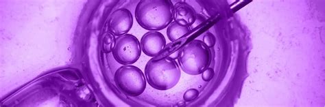 Female Fertility Testing For Ivf Diagnostic Tests Care Fertility Female Fertility Testing For Ivf Diagnostic Tests Care Fertility