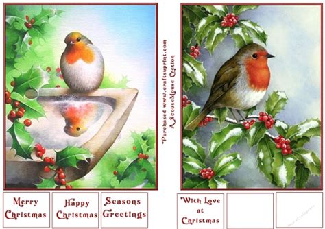 Robin Reflection And Holly Robin Toppers Cup8180294063 Craftsuprint