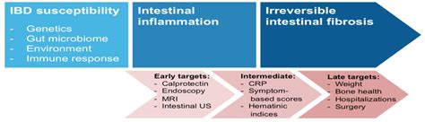Targets Along The Disease Progression Pathway In Ibd Download