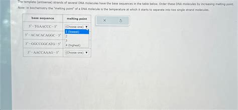 Solved The Template Antisense ﻿strands Of Several Dna