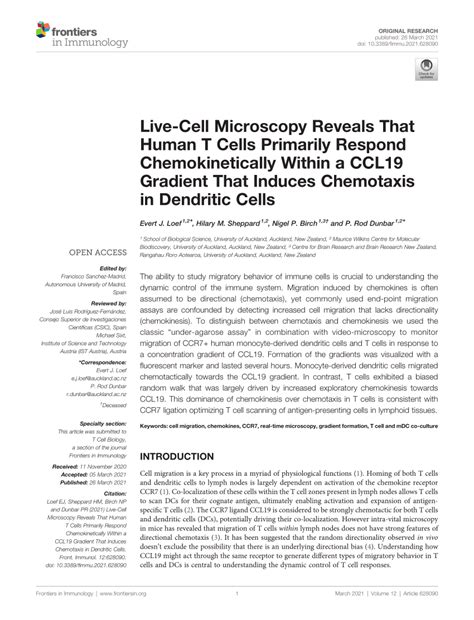 Pdf Live Cell Microscopy Reveals That Human T Cells Primarily Respond