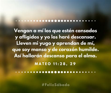 Venid A Mi Todos Los Que Estáis Cansados Y Agobiados Versiculo Buscar