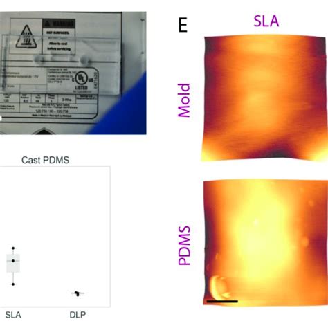 Polymer Model Fabricated For Bilateral Defect By Rapid Prototyping Download Scientific Diagram