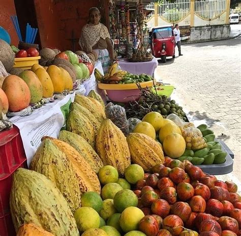 Todos Somos Nicaragua On Instagram “en Nicaragua Siempre Es Temporada