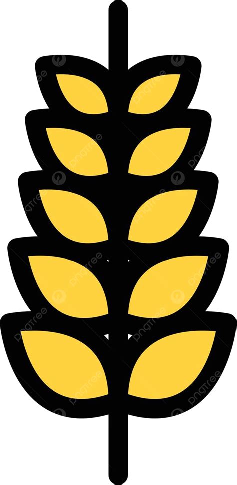 Grain Harvest Organic Oat Vector Harvest Organic Oat Png And Vector