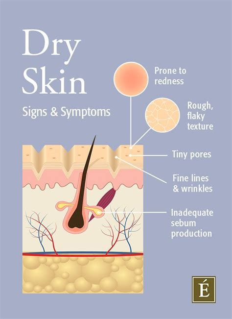 Pin On Skin Care