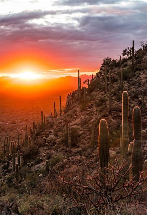 Into The Night ~ By William Micol Via 500px Arizona Sunrise Arizona Sunset Arizona Landscape