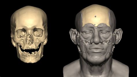 The First Genome Sequenced From Ancient Egypt Reveals Surprising