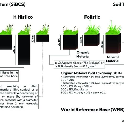Organic Horizons According To The Brazilian Soil Classification