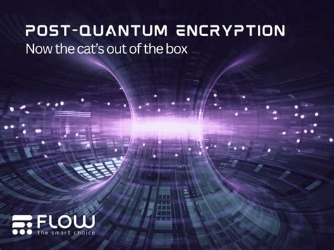Quantumcomputing Encryption Cybersecurity Qday Flow