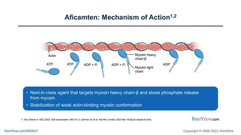New Evidence On Cardiac Myosin Inhibition In Hypertrophic