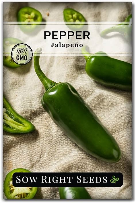 Jalapeno Pepper Plant Seeds