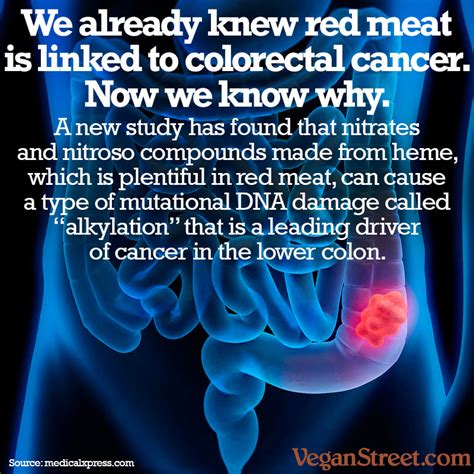 We Already Knew Red Meat Is Linked To Colorectal Cancer Vegan Street