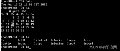 Linux基本操作命令二 CSDN博客