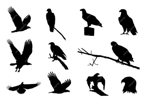 Siluetas De águila águila Voladora Silueta De águila Calva Silueta Del