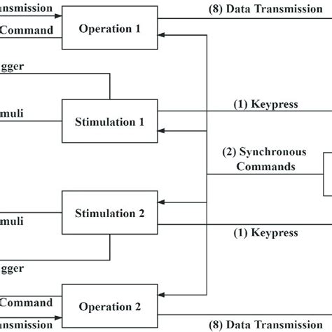System Diagram Of The Collaborative Brain Computer Interfaces Bci