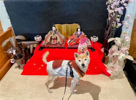 ず～っとこのひなあられ りおんとまったり