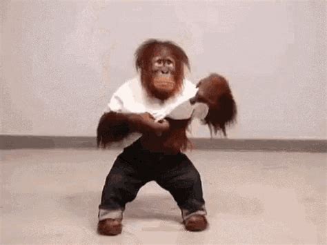 Funny Monkey S Funny Monkey S