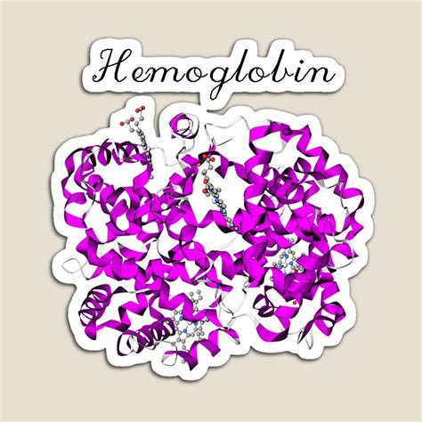 Hemoglobin Do You Like Biology Magnet For Sale By Dr Tee