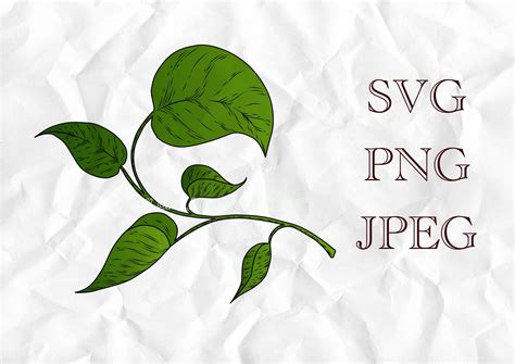 Curved Leaf Vector Illustration Graphic By Millazelenyukart