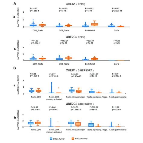 Functional Enrichment Analysis Of Genes In The Yellow Module A Go