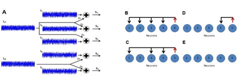Neuronal Interconnection Schemes A Schemes Based On Neuronal