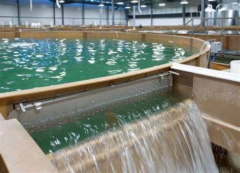 What Is Aquaculture System Design Talk