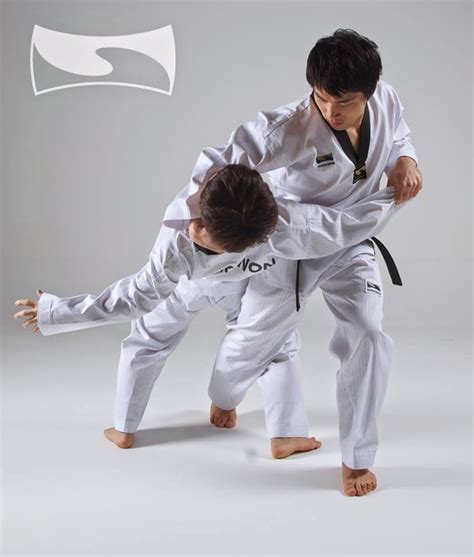Satria Taekwondo Academy Purwokerto Apa Itu Hosinsul Taekwondo