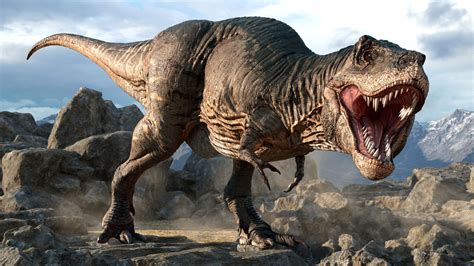 Elongated Eyes May Be What Allowed Tyrannosaurus Rex To Chomp Down On Prey